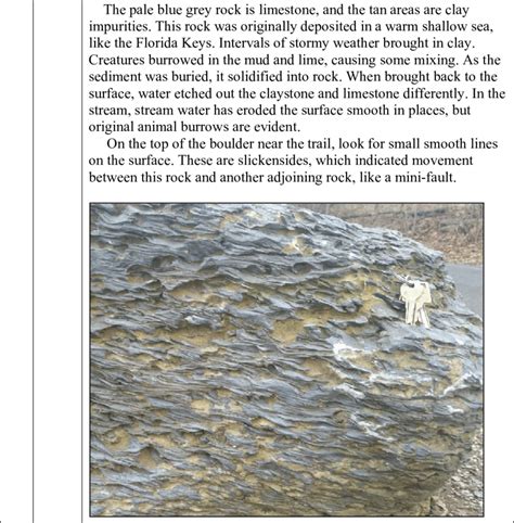 Limestone Key Treasure Chart At Vivian Donnelly Blog