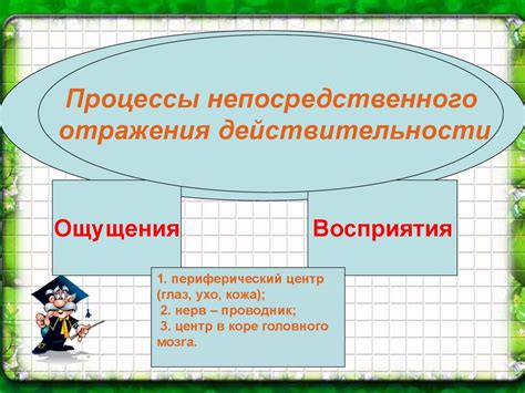 Особенности процессов восприятия ощущения представлений у умственно отсталых детей