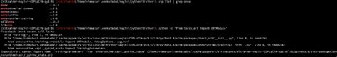 Ortmodule Import Error With Onnxruntime Issue Microsoft Onnxruntime Github