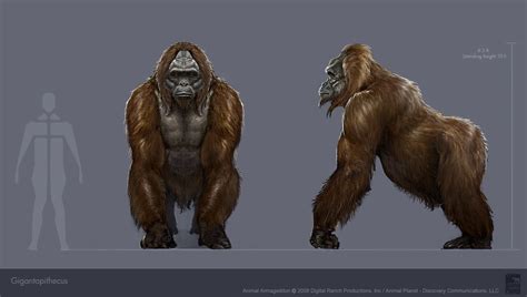 Gigantopithecus Cryptid Wiki