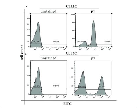 Cd19 Cd5 Positive B Cll Cells Isolated From Cll1c Month 8 Panel A