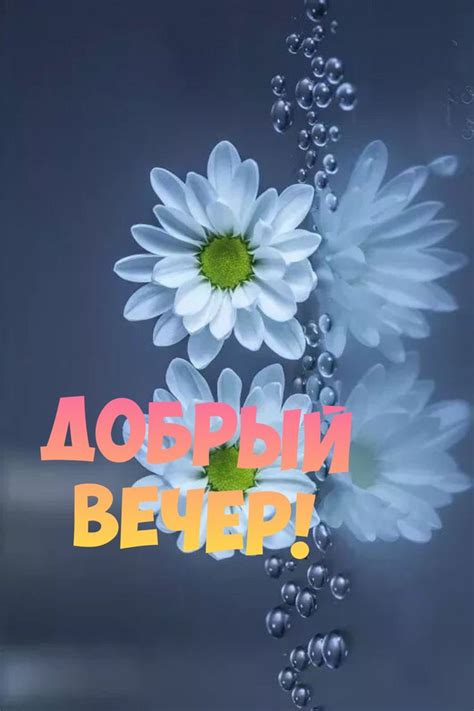 Елена Дыренкова Adlı Kullanıcının Добрый вечер Panosundaki Pin