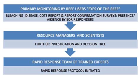 Reef Response Rapid Response Contingency Plan Rrcp