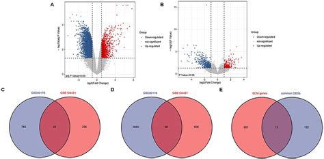 Identifying And Validating Extracellular Matrix Related Gene Ctsh In D Jir