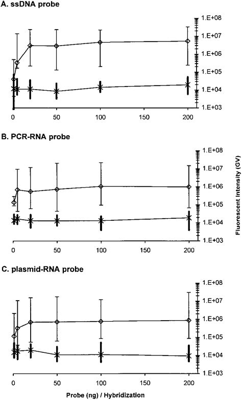 Hybridization Of Ssdna A Pcr Derived Rna B And Plasmid Derived