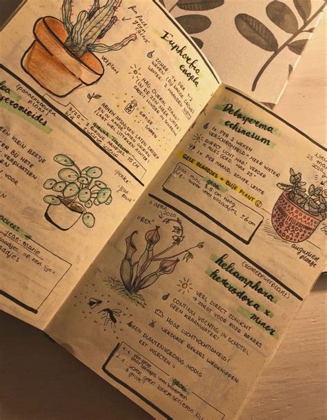 Diy Bullet Journal Spreads For Plant Enthusiasts Artofit