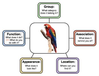 Semantic Feature Analysis SFA Charts By Caroline S Corner TPT