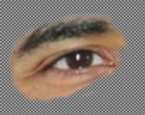 GIMP Tutorial YEAR DIGITAL MEDIA