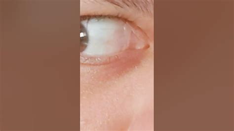 Youtubecreator Youtube