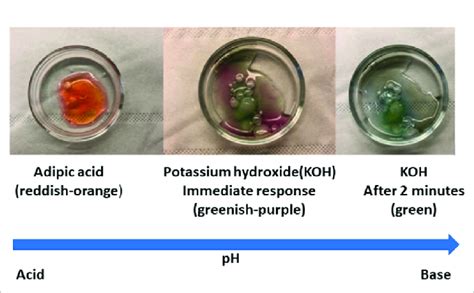 Depiction To Show The Use Of Multiscale Ph Agar Gel Indicator And The