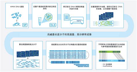 Bionano全基因组光学图谱技术 遗传病检测应用 知乎