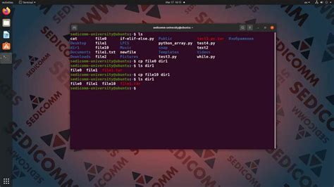 Основы Linux для программируемых сетей и систем — копирование и