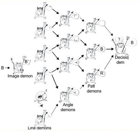 Understanding Perception Theories And Processes Flashcards Quizlet