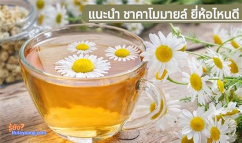 [newswatch] 10 ชาคาโมมายล์ ยี่ห้อไหนดี หลับเร็ว หลับลึก 2024 ชาคาโมมายล์ ยี่ห้อไหนดี ในปัจจุบัน