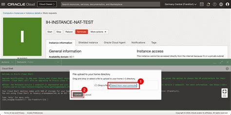 Use Nat Gateway To Allow Oracle Cloud Infrastructure Instances To Access The Internet