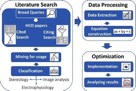 Methodological Pipeline To Estimate Neuron Type Counts Through Three Download Scientific
