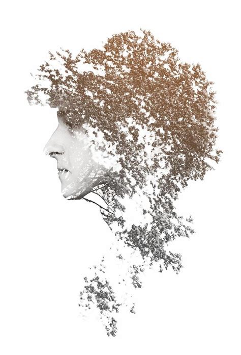 Mind Map Tree Stock Photos Images And Backgrounds For Free Download