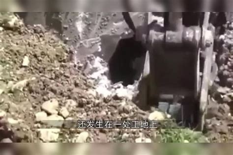 工地上听到“吼叫声”，挖掘机挖开后，果然发现猛兽！吼叫声挖掘机猛兽