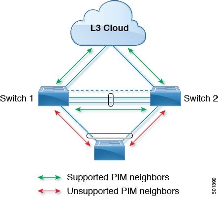 Cisco Nexus 9000 Series NX OS Multicast Routing Configuration Guide
