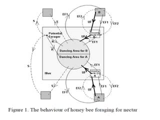 Artificial Bee Colony Algorithm PPTX