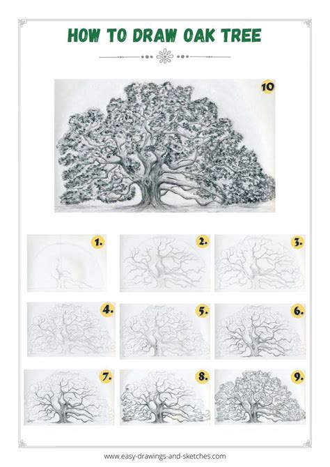 Learn How To Draw An Angel Oak Tree In Simple Steps Trees Art Drawing