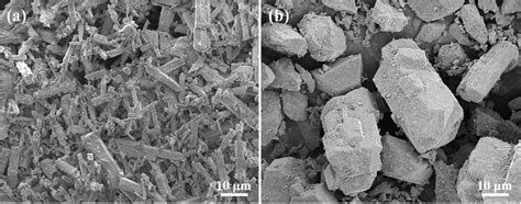 Figure 1 From Bone Healing And Regeneration Potential In Rabbit Cortical Defects Using An