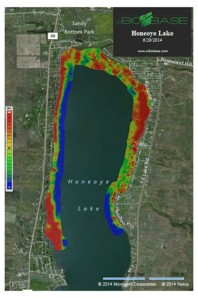 Biobase Helps Manage Honeoye Lake Macrophyte Harvesting Program