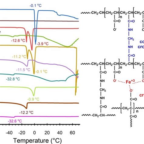 The Structure Of The Double‐crosslinked Hydrogel Network A And B Dsc