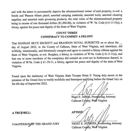 Calhoun Grand Jury Indicts Nine Ridgeview News