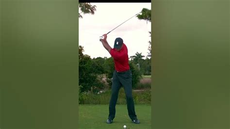 타이거우즈 골프스윙 드라이버 아이언 Youtube