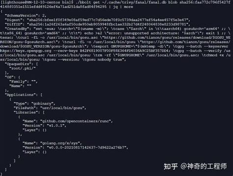 镜像安全扫描工具trivy深入实践 知乎