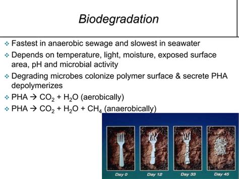 Synthesis Of Bioplastics Pptx