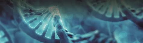 Detection And Assembly Of Extrachromosomal Dna Ecdna In Tumours