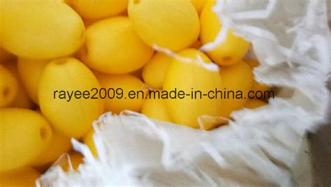 Professional Fishing Tool PVC Foam Fishing Net Float Fishing Tool And Fishing Net Price