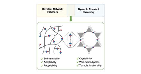 New Advances In Covalent Network Polymers Via Dynamic Covalent