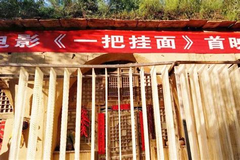 电影一把挂面舌尖上的乡愁 影片