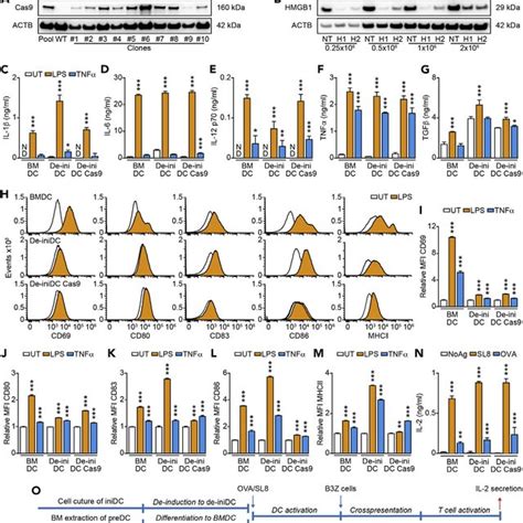 Overview Of The Genotype Phenotype Screening Procedure And Hit