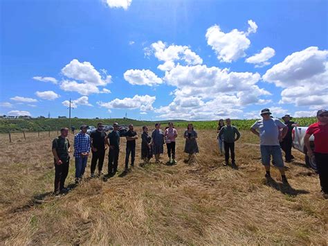 🟪კოლეჯის პროგრამა ვეტერინარიის კოლეჯი ილია საგარეჯო