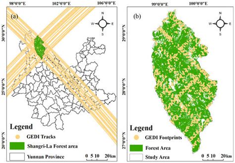 Sustainability Free Full Text Carbon Storage Estimation Of Quercus Aquifolioides Based On