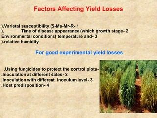 Yield Losses Dou To Wheat Rusts And Powdery PPT Agriculture Industries