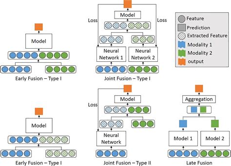 text image multimodal fusion model for enhanced fake news detection