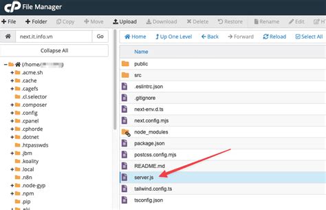 Hướng Dẫn Cài đặt Nextjs Trên Hosting Cpanel
