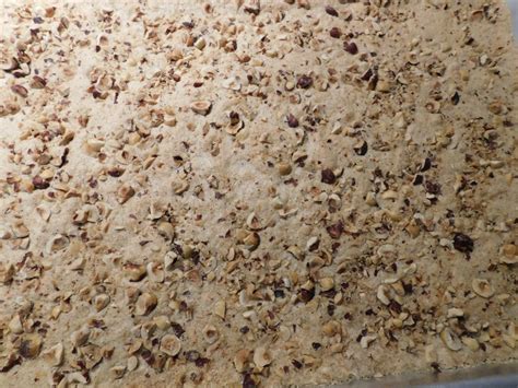 Hazelnut Dacquoise Recipe Kitchen Foliage