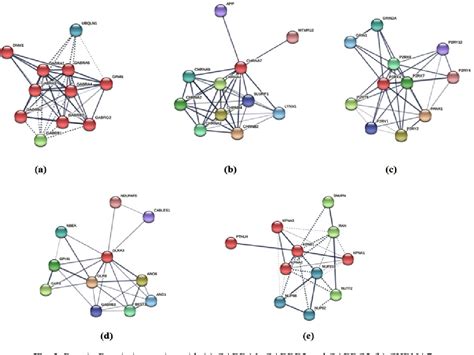 Figure 3 From In Silico Analysis Of Off Target Effects Of Ivermectin Drug Semantic Scholar