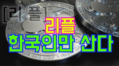 🟣리플 Xrp 🟣리플 한국인만 산다는데 진짠가 리플 리플코인 코인 리플전망 비트코인 비트토렌트 시바이누 호재