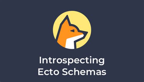 Screencast Elixircasts Introspecting Ecto Schemas Screencasts Elixir Programming Language