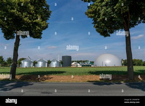 Biogas Plant Storage Silos Large Buffer Storage For Hot Water For