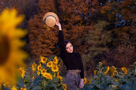 해바라기의 필드에 자연을 즐기는 밀짚 모자와 아름다운 사랑스러운 소녀 일몰 가을 시간 갈색 머리에 대한 스톡 사진 및 기타 이미지 갈색 머리 감정 건초 식물 Istock