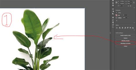 Solved Image Trace Colors Option Doesnt Work Proporly Adobe