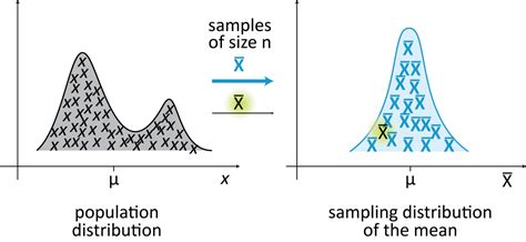 Solved What Effect Does The Sample Size Have On The Mean Of